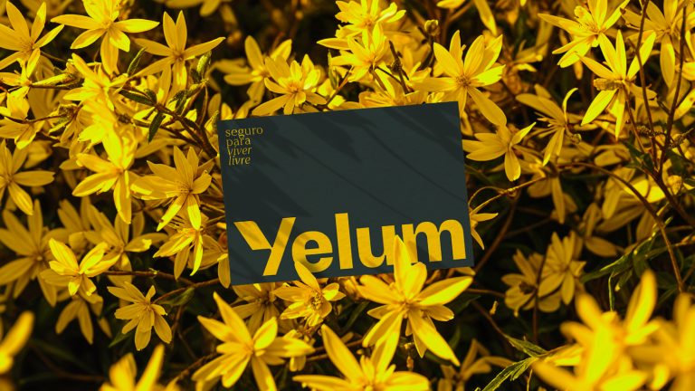 Por trás da criação da nova marca Yelum - Ana Couto